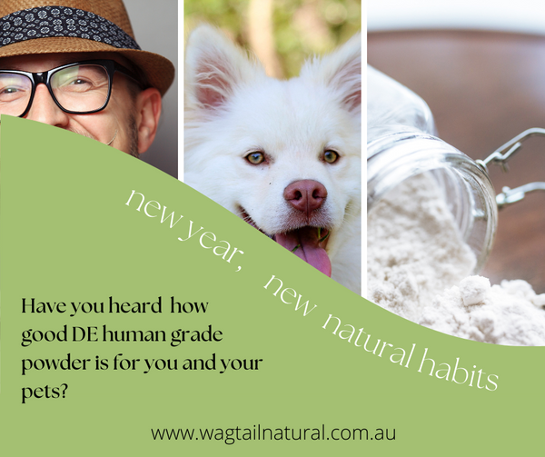 Why De Powder is an amazing product to have in your house. – Wag Tail ...